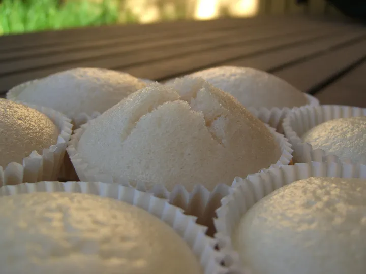 Fa Gao: The New Superfood 2023